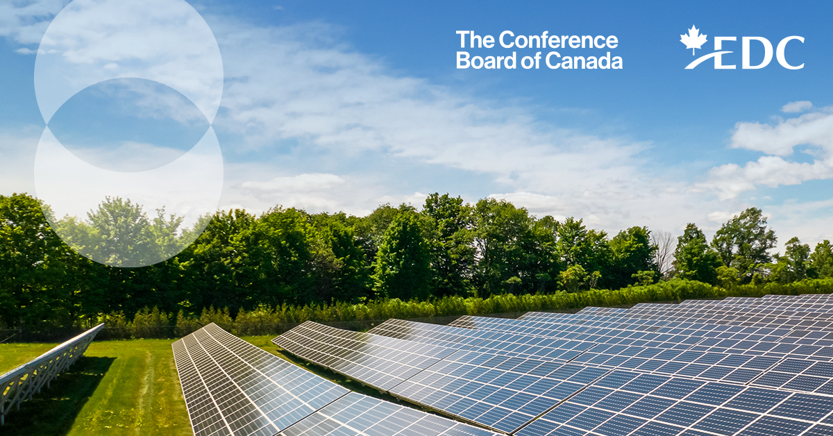 The Path to Net Zero: A Primer on How to Assess SME Progress - The ...