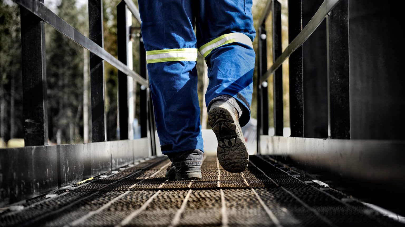 Canadian Economics - The Conference Board of Canada